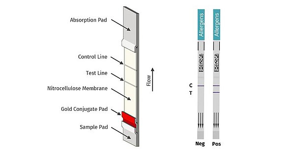 Hook Line Less: Debunking the ‘Hook Effect’ Myth in Allergen Lateral ...