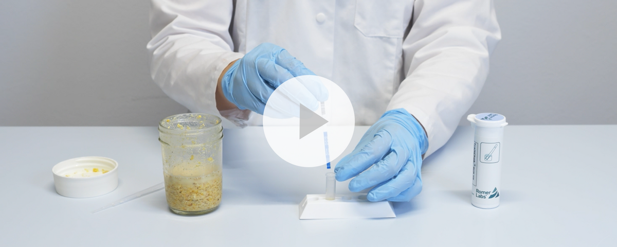 AgraStrip® GMO | Qualitative Bulk Grain Application | Video - Romer Labs