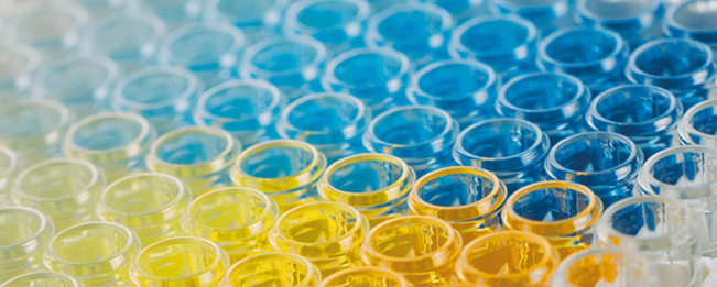 Mastering Allergen Management: A Guide to Cleaning Validation and ...