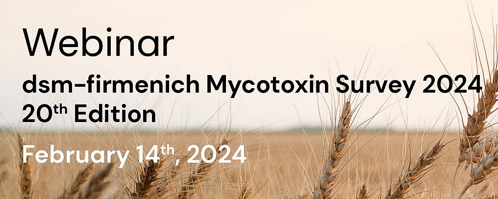 dsm-firmenich World Mycotoxin Survey 2024 - Romer Labs