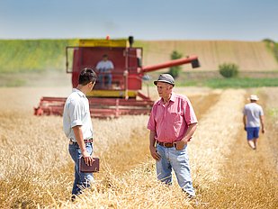 Soy Test Kits | Fast & reliable soy detection - Romer Labs