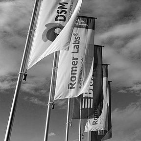 About | Romer Labs - Romer Labs