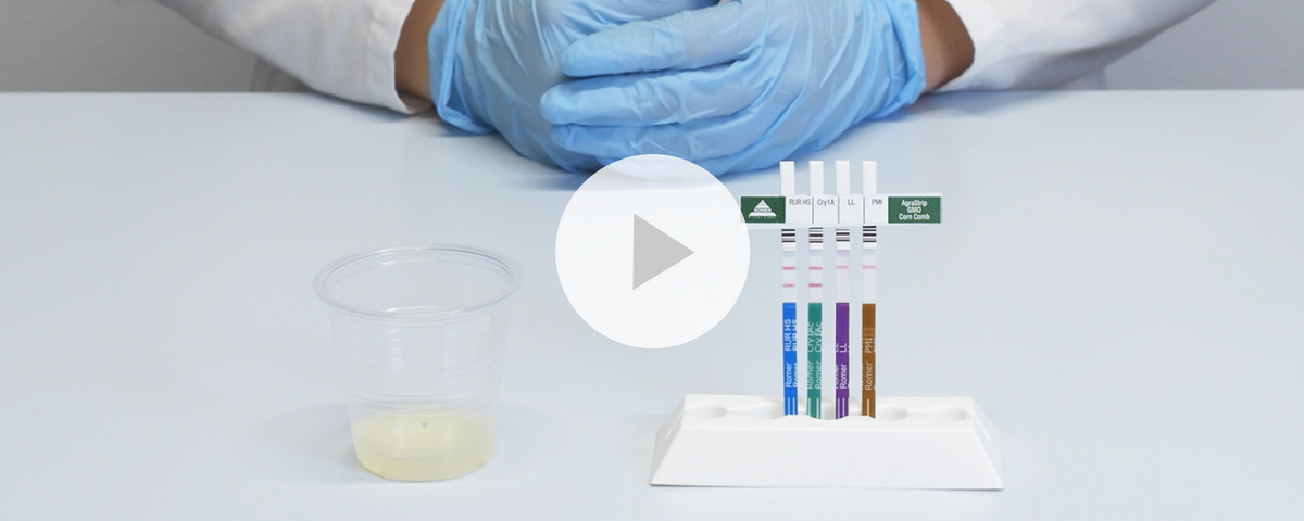 AgraStrip® GMO COMB | Qualitative Bulk Grain Application | Video ...